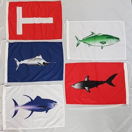 Catch Flag Deluxe Set of 5 – Camp and Tackle